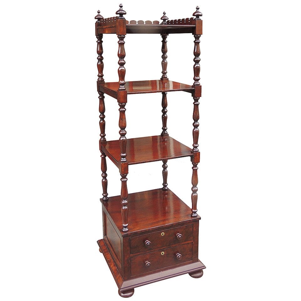 19th Century English Regency Mahogany Library Stand | David Skinner ...